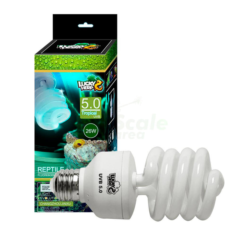 Compact UVB 5.0 bulb – Scale area
